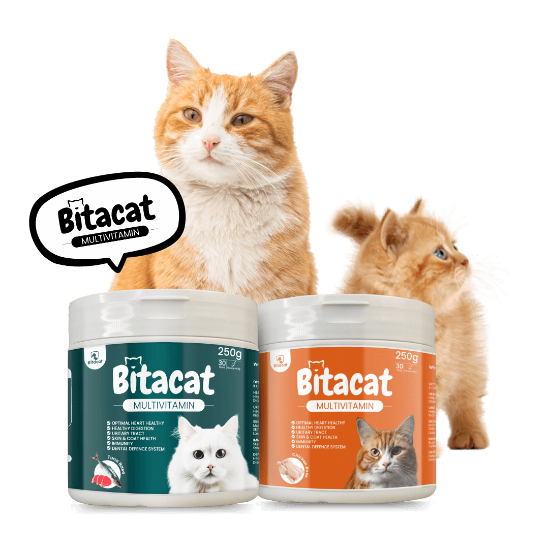 Bitacat HQ – Bitacat Multivitamin Lengkap Untuk Kucing Anda